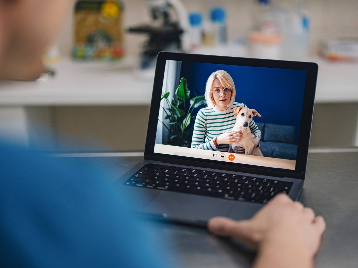 Telehealth | AllyDVM