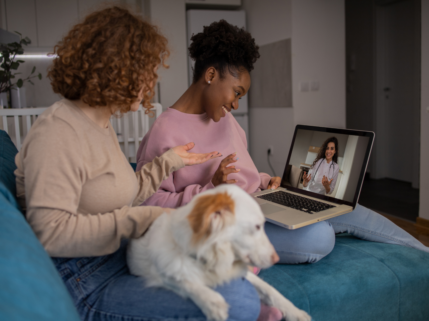 Telehealth | AllyDVM