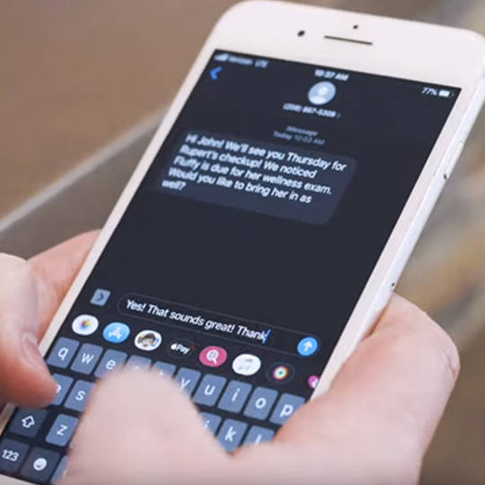 Client Communications | AllyDVM